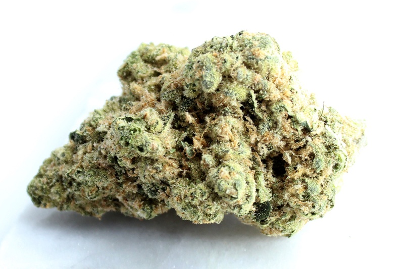 Pedanios 31/1 COS-CA: Cosmic Cream | Cannabis Plattform Grünhorn