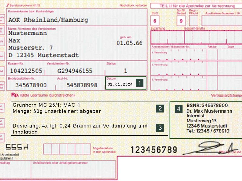 Angaben, die auf einem Cannabis BtM-Rezept erforderlich sind