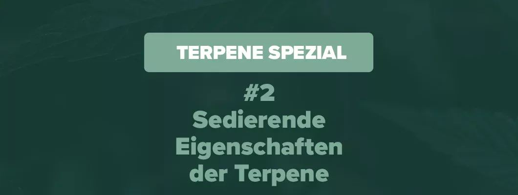Sedierend wirkende Terpene - Myrcen α-Humulen Guaiol | GH Academy