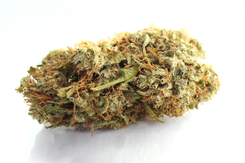 Pedanios 10/10 EQI-CA: Equiposa | Cannabis Plattform Grünhorn