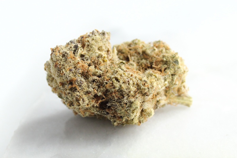 Four20 Pharma GmbH | Grünhorn Apotheke